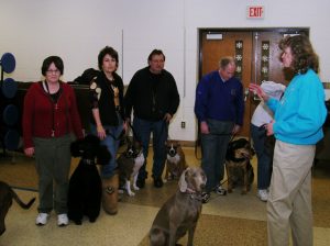 Royal Oak Dog Boot Camp for Dog Training and Obedience | ACT